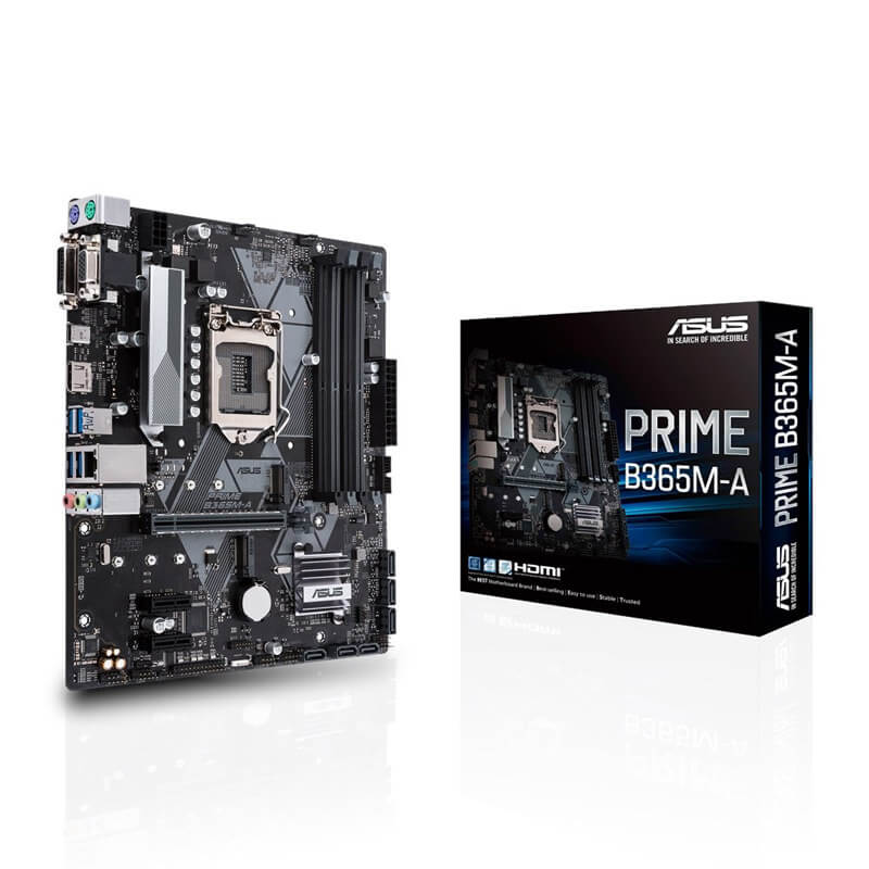 Buy ASUS M-ATX Motherboard, PRIME B365-A
